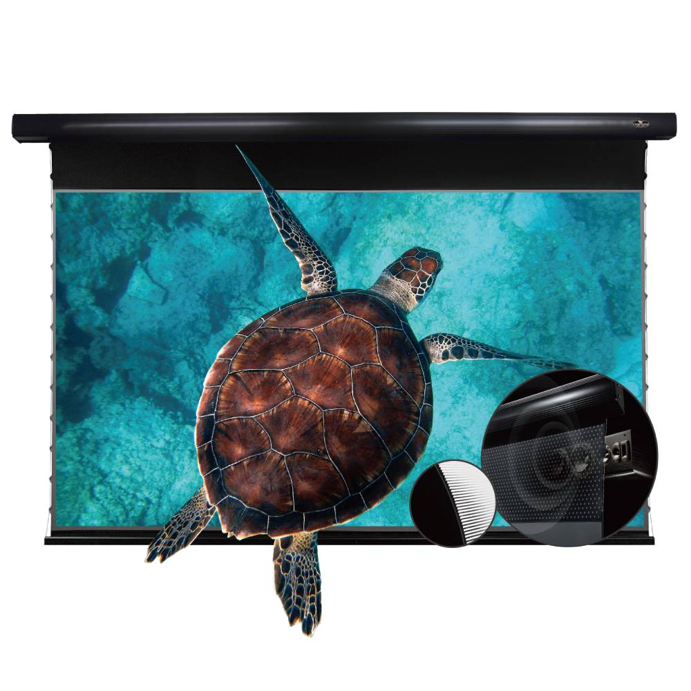 VIVIDSTORM PRO P Slimline Motorised Drop Down Projector Screen for UST ...